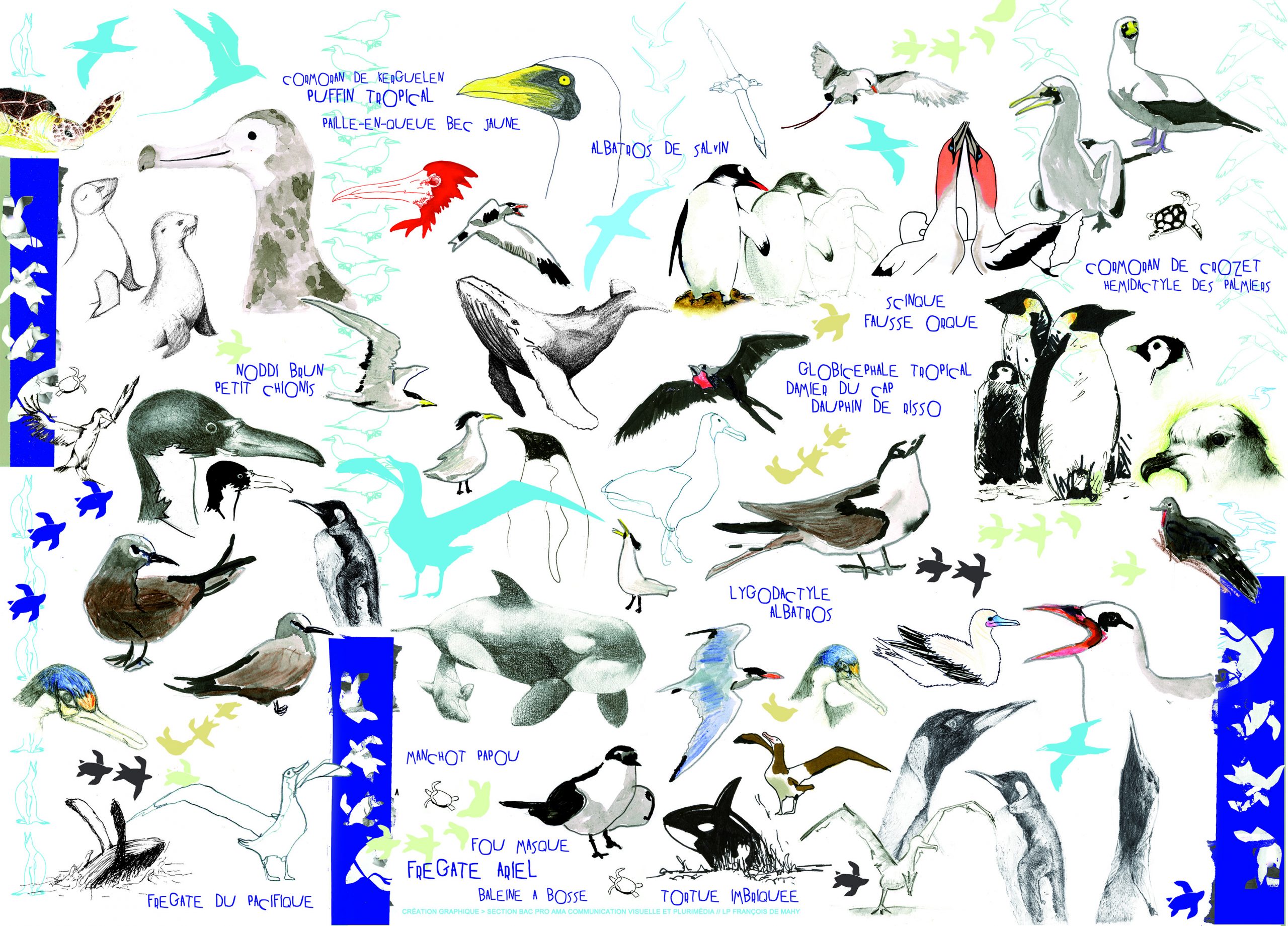 Le livret pédagogique sur les TAAF - Terres australes et antarctiques ...