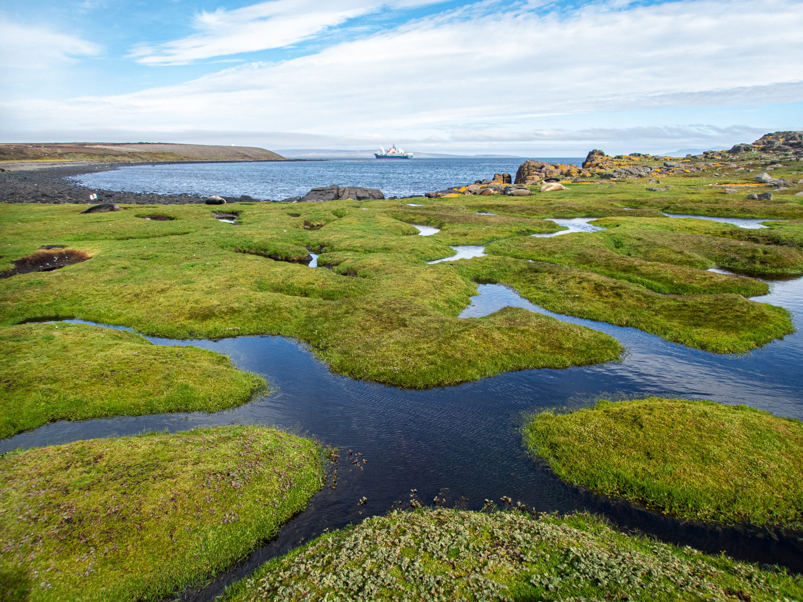 Journée mondiale des zones humides - Terres australes et antarctiques ...