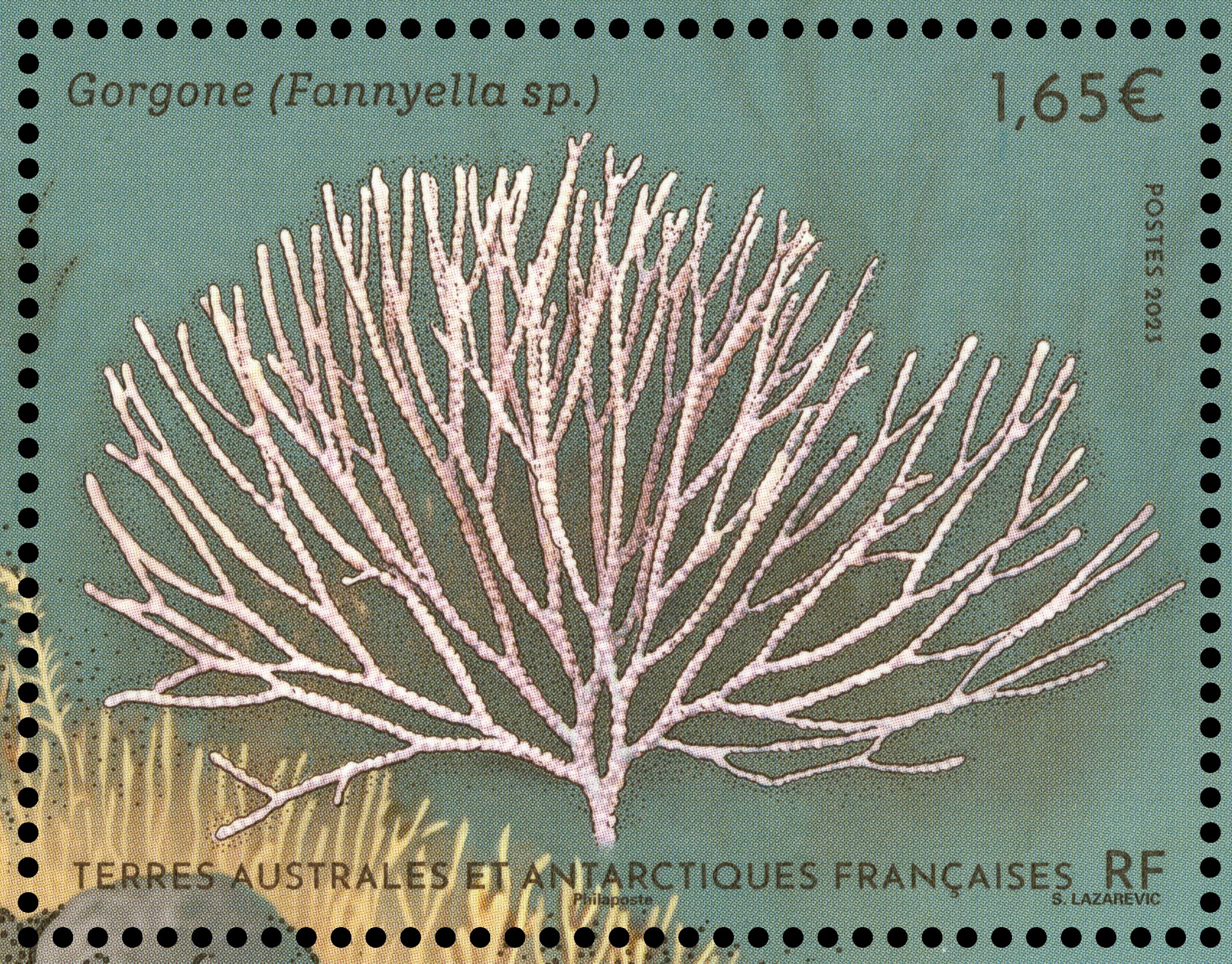 Le bloc-timbre « Les fonds marins des TAAF : district de terre Adélie ...