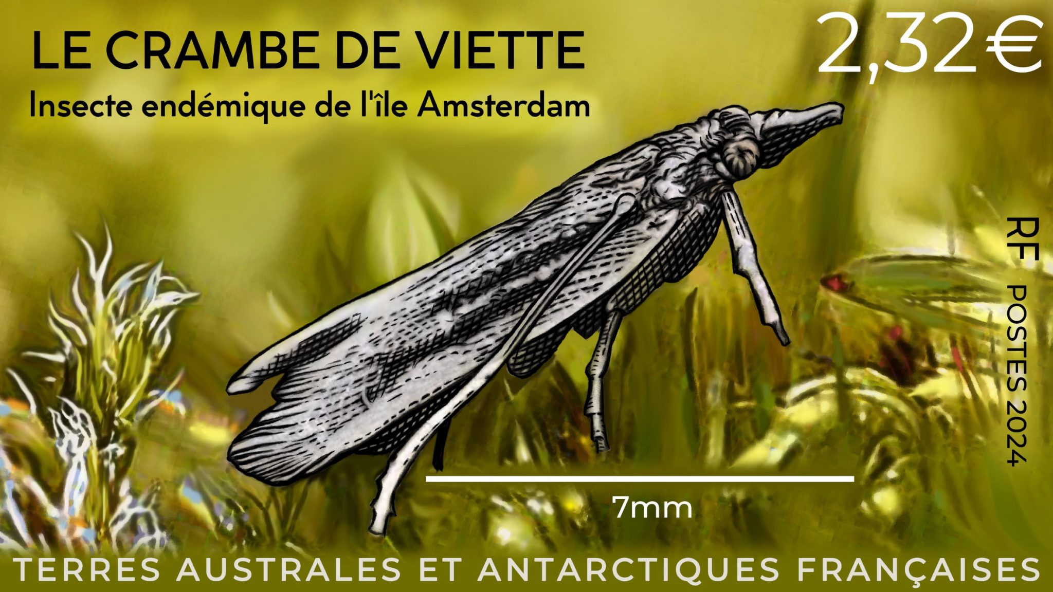 Le programme philatélique 2024 des TAAF est sorti ! - Terres australes ...